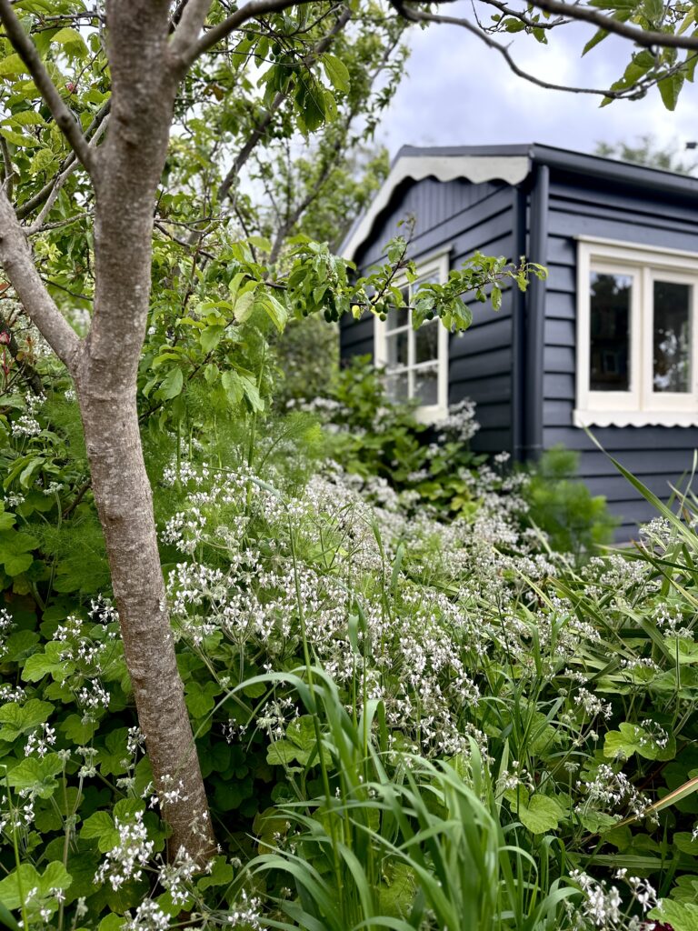 December 2025: Monthly Newsletter. - allhomerenovationsandmaintenance.com